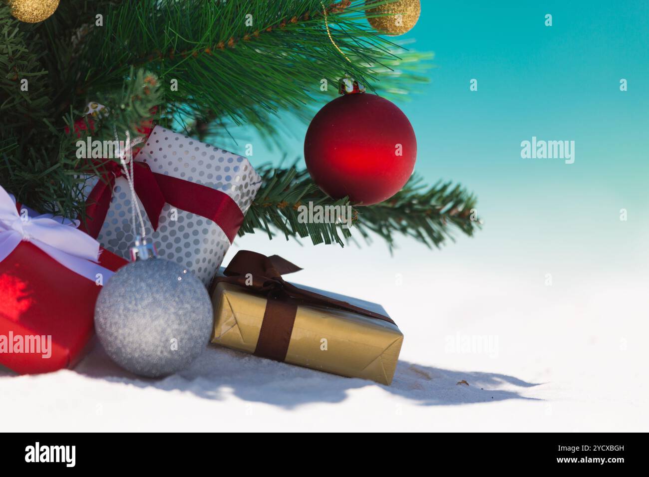 Tree summertime hi-res stock photography and images - Alamy