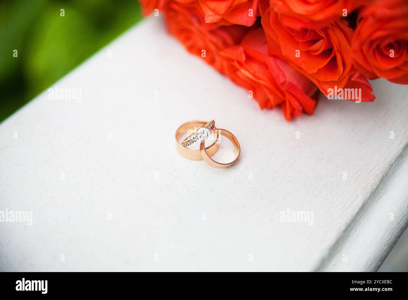 Two beautiful red roses isolated hi-res stock photography and images ...