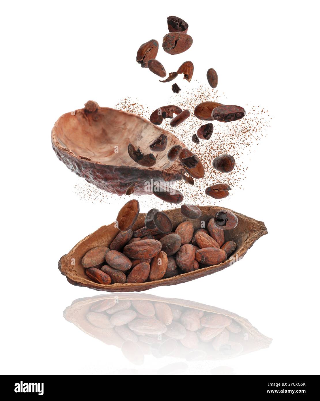 Cocoa pod with beans and powder in air on white background Stock Photo ...