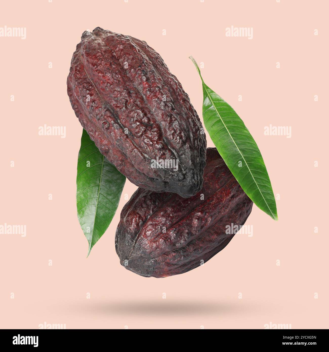 Cocoa pods and green leaves in air on peach color background Stock ...