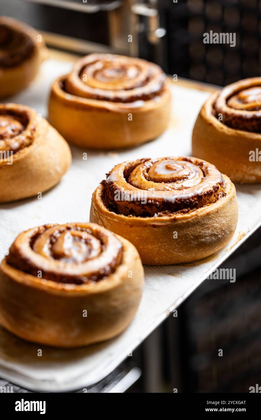 A delicious variety of gourmet vegan puff pastry cinnamon rolls, each ...