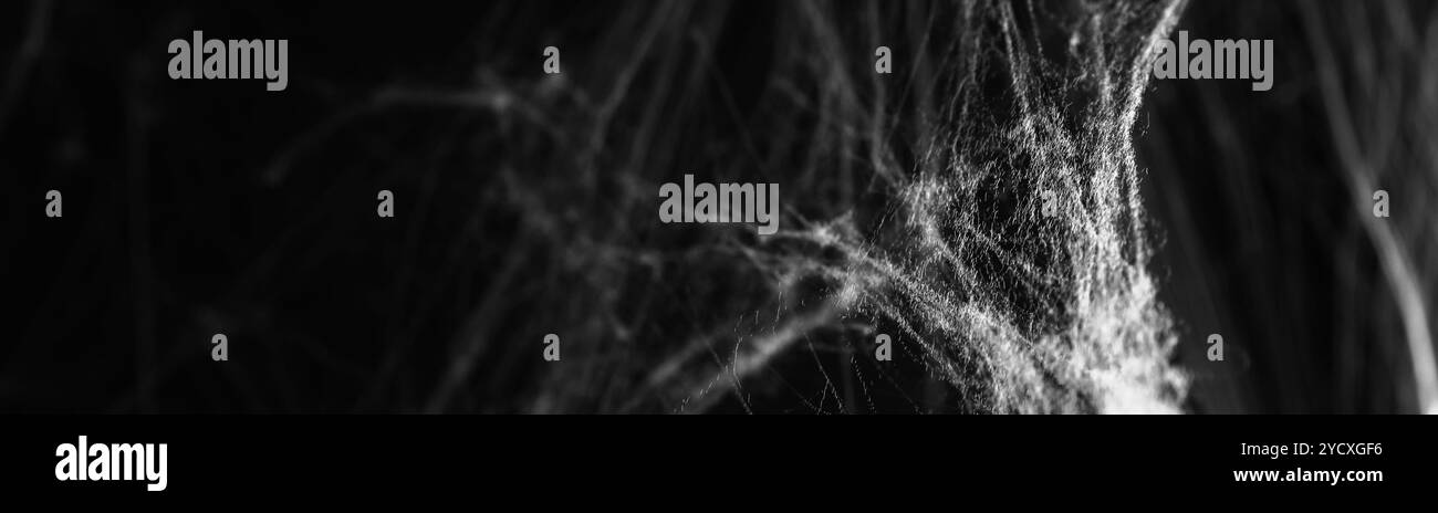 White cobweb on black background, banner design Stock Photo - Alamy