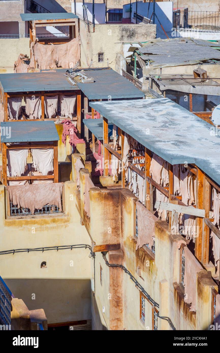 Tannery production hi-res stock photography and images - Alamy