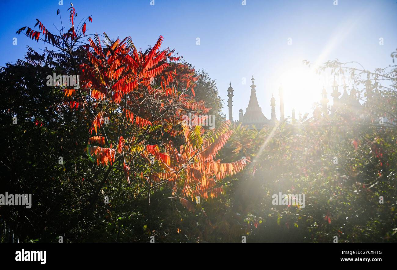 Brighton UK - Autumn sunshine and views around Pavilion Gardens ...
