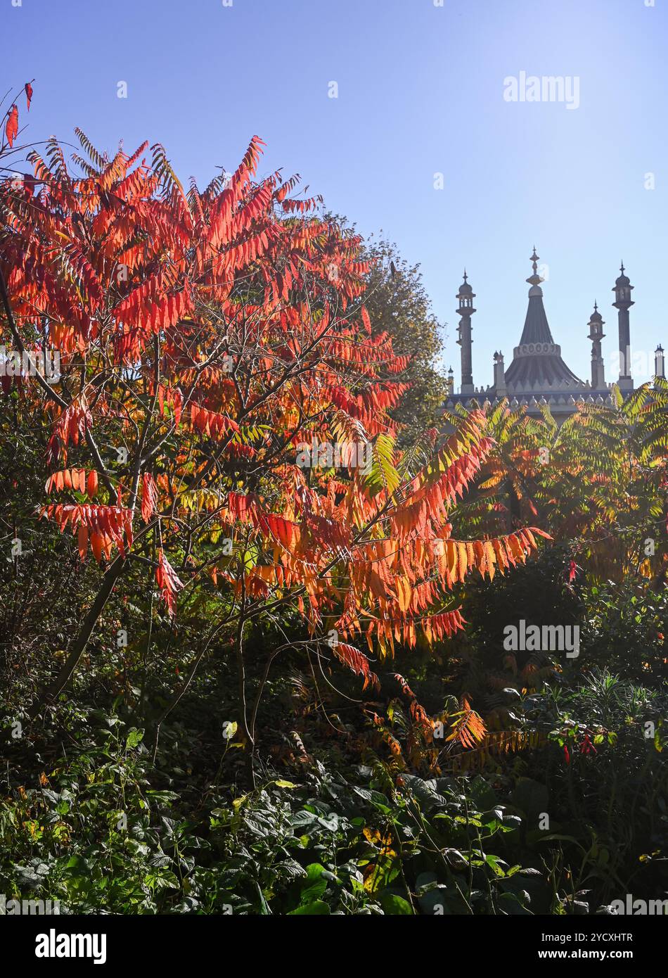 Brighton UK - Autumn sunshine and views around Pavilion Gardens ...