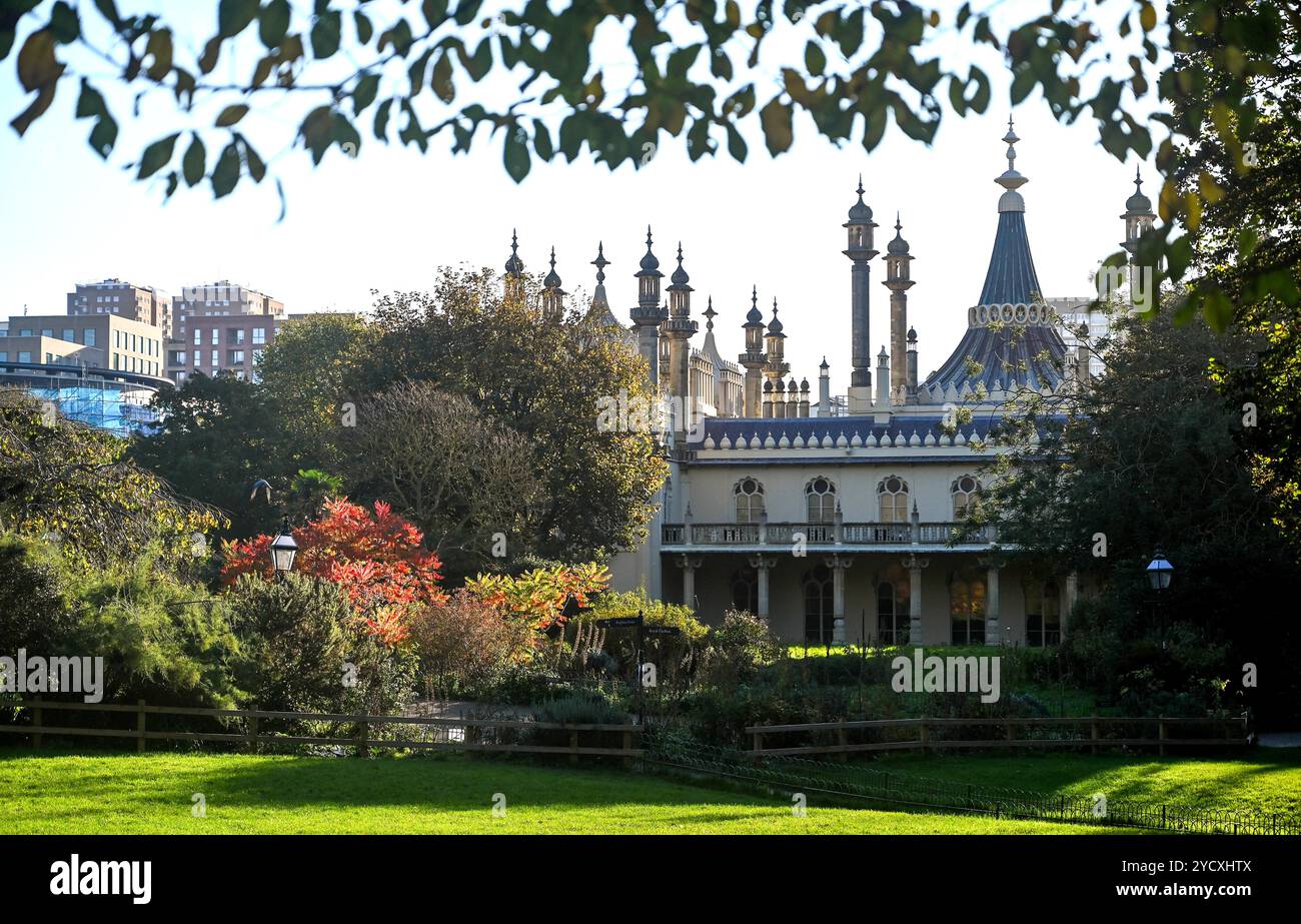 Brighton UK - Autumn sunshine and views around Pavilion Gardens ...