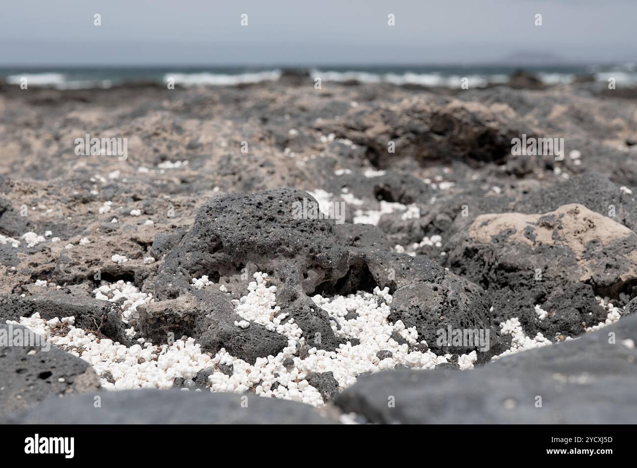 Bajo de la Burra Beach, also known as Caleta del Barco, showcases a rare popcorn-like coral ...