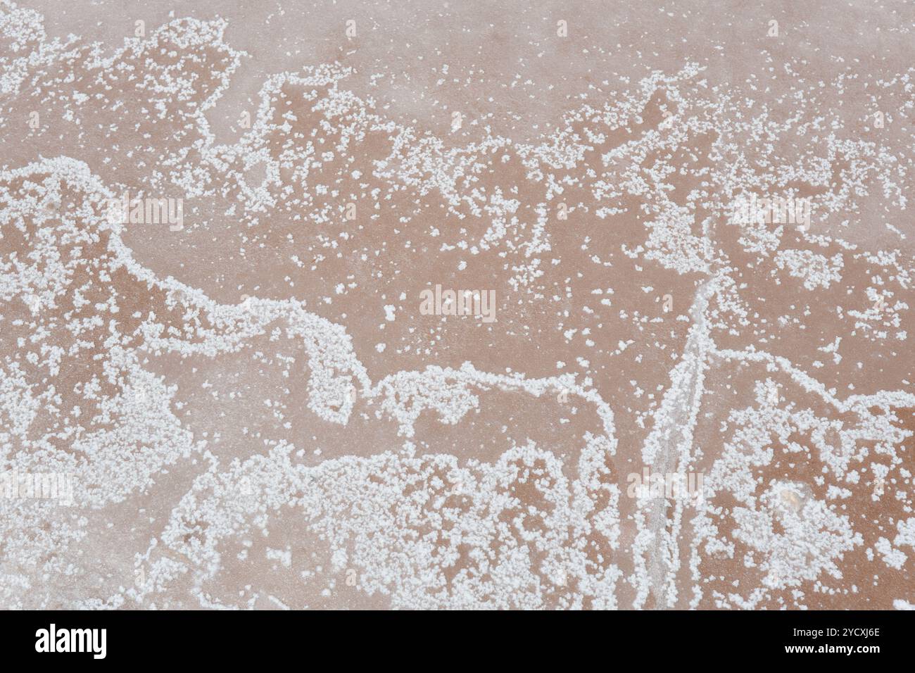 A detailed view of a salt pan displaying intricate patterns of ...