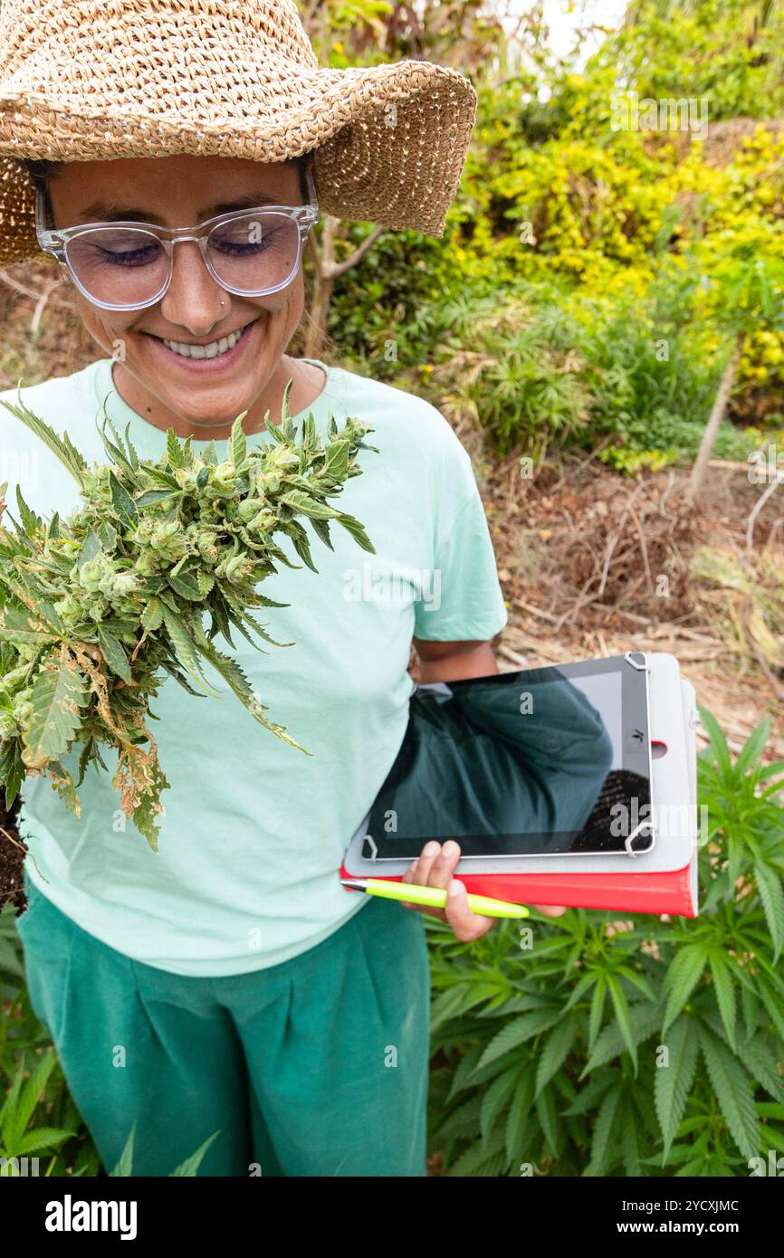 Woman straw hat prunes cannabis hi-res stock photography and images - Alamy