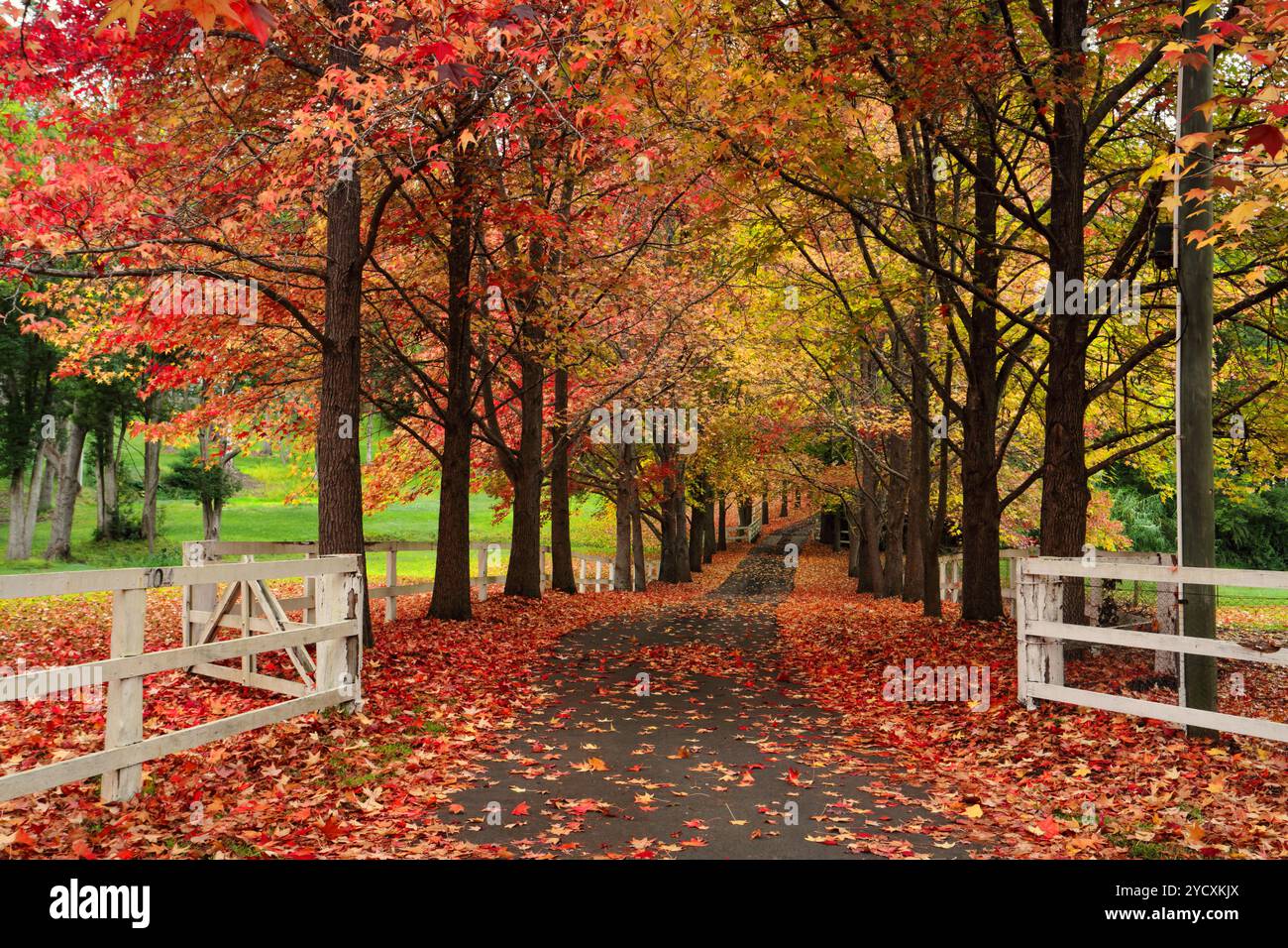 Drive way hi-res stock photography and images - Alamy