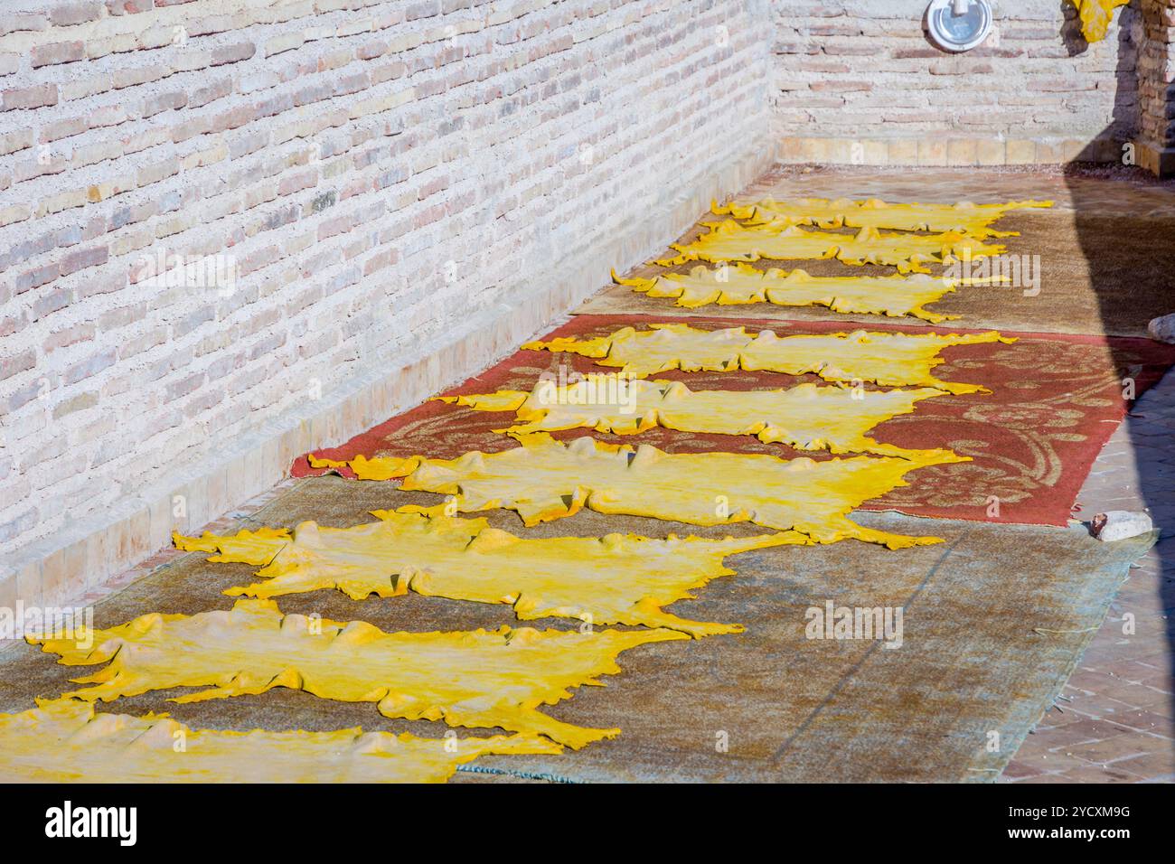 Skin drying on sun Stock Photo - Alamy