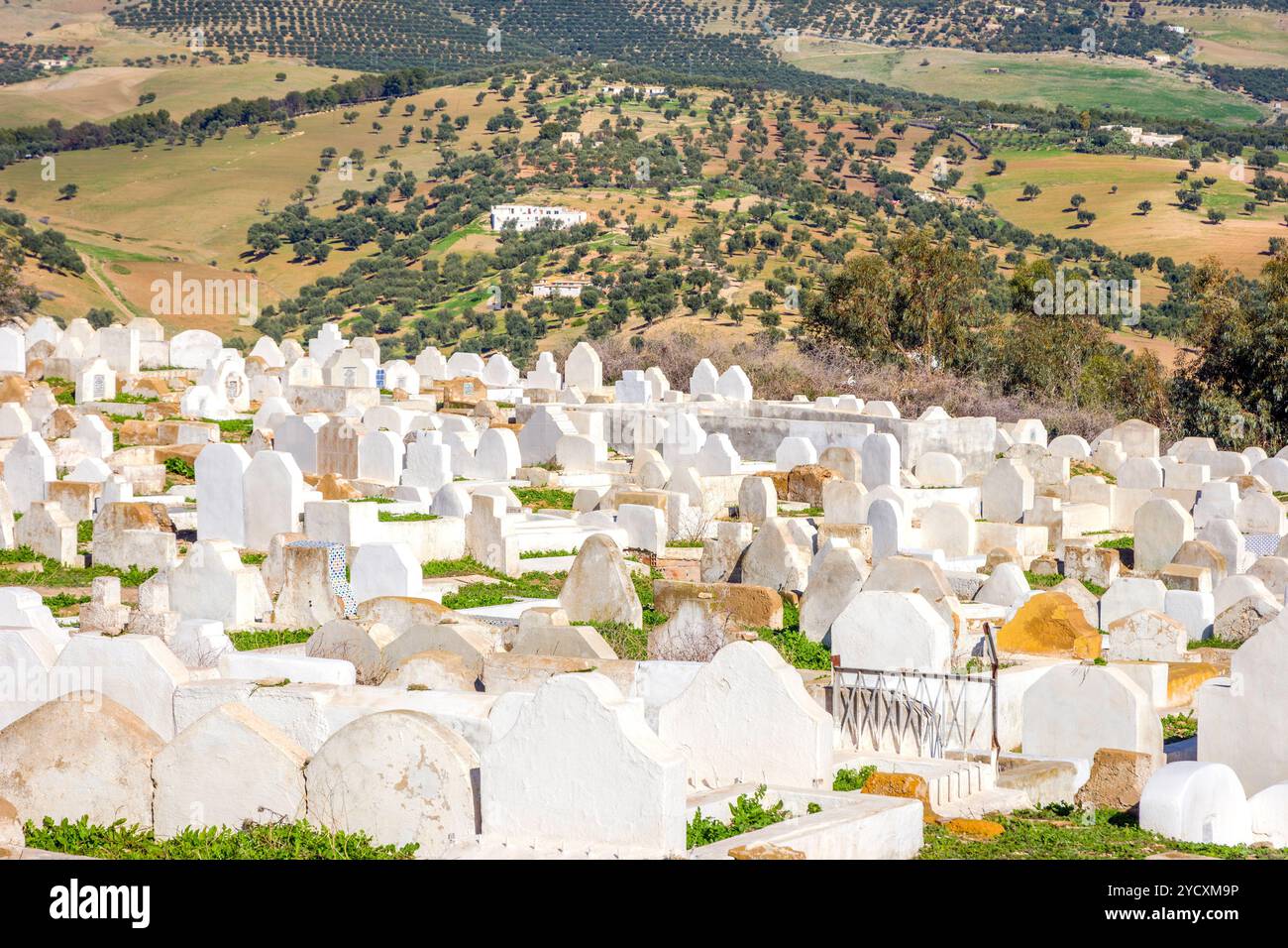 Africa arab cemetery hi-res stock photography and images - Alamy