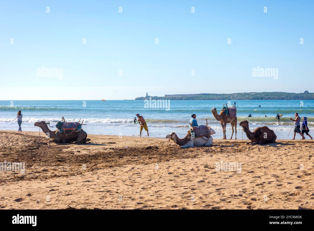 Essaouira surf hi-res stock photography and images - Alamy