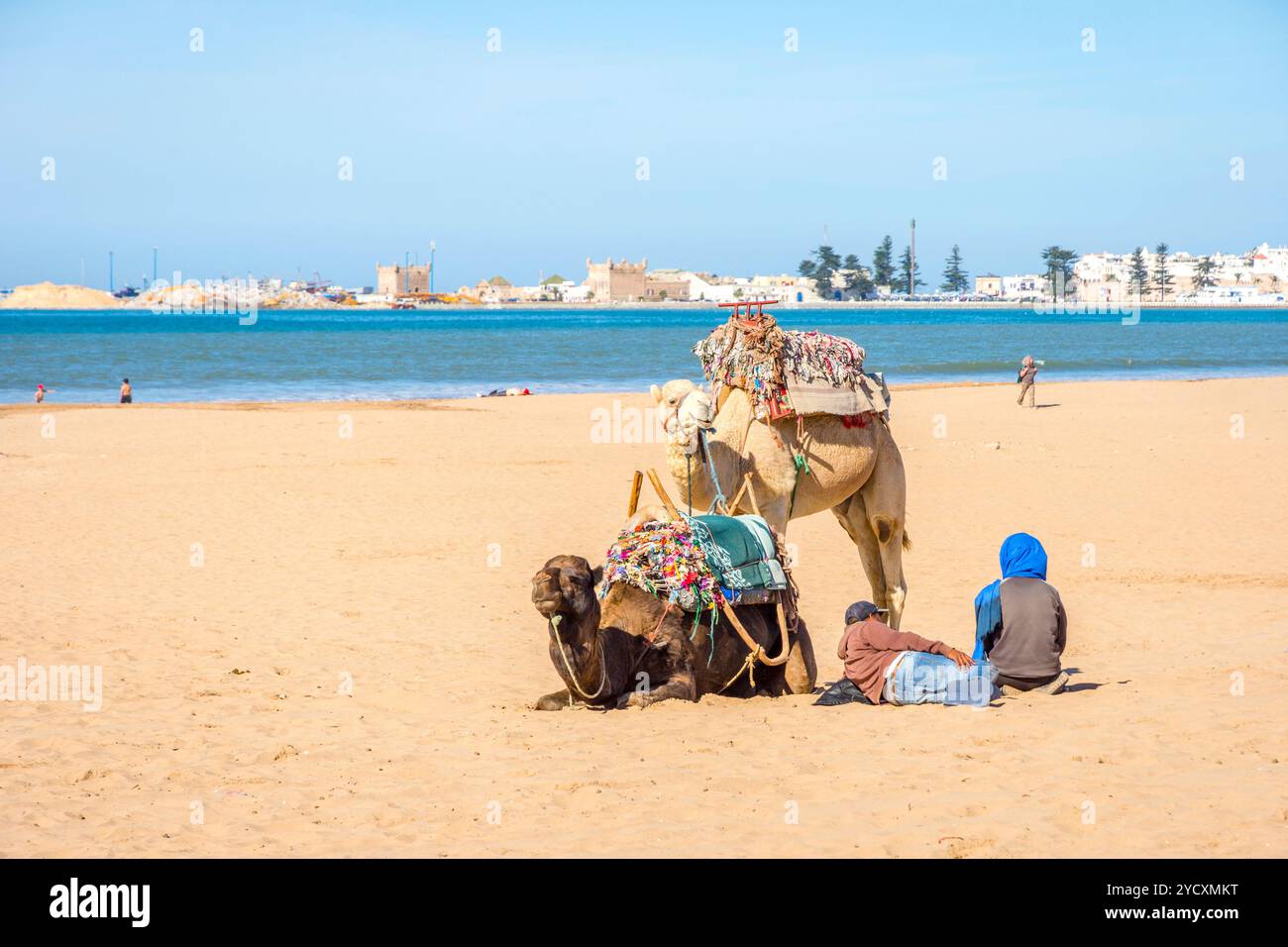 Riding camels on sand hi-res stock photography and images - Alamy