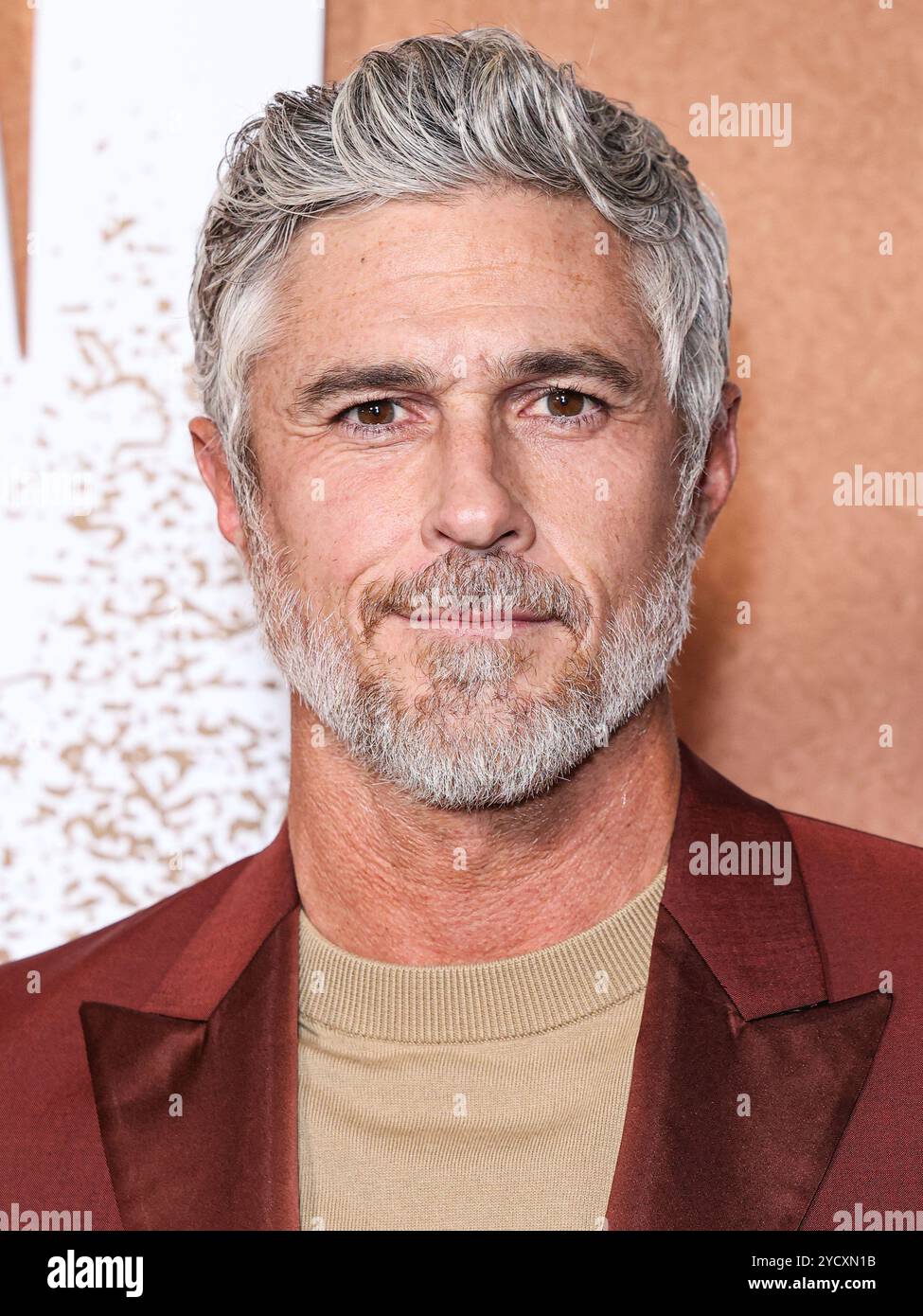 HOLLYWOOD, LOS ANGELES, CALIFORNIA, USA - OCTOBER 23: Dave Annable ...