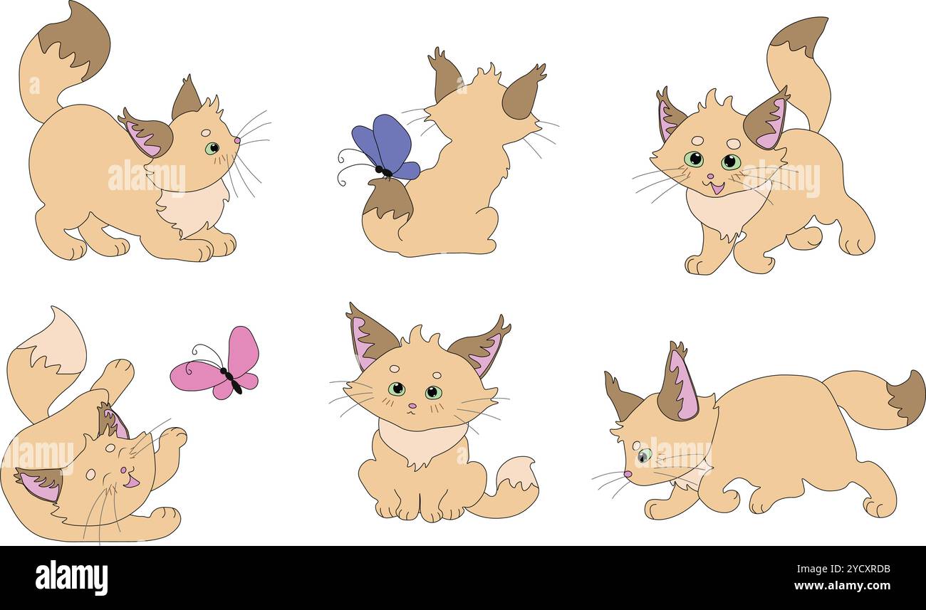 Feline doodle illustrations hi-res stock photography and images - Alamy