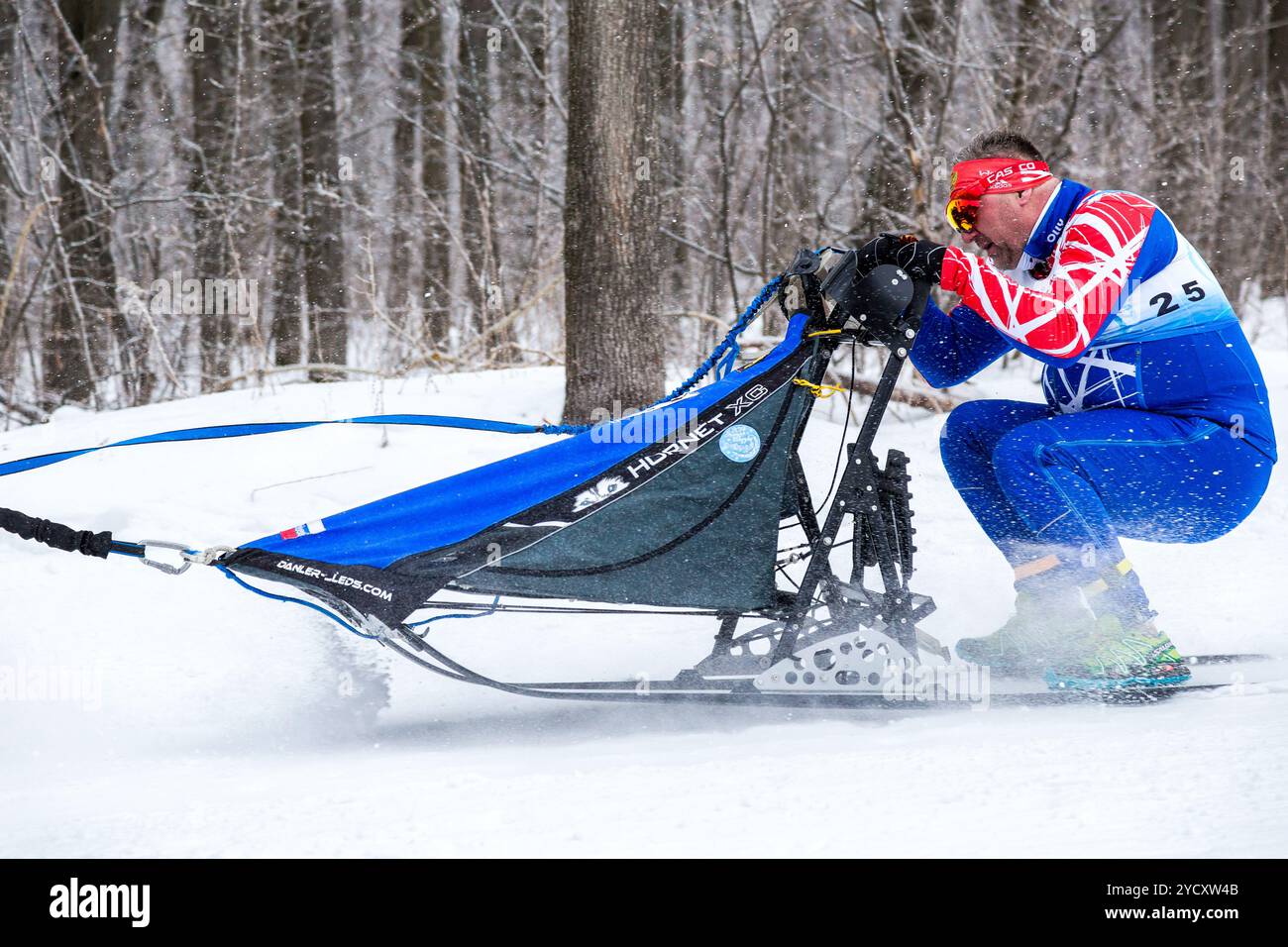 Arctic competition hi-res stock photography and images - Alamy