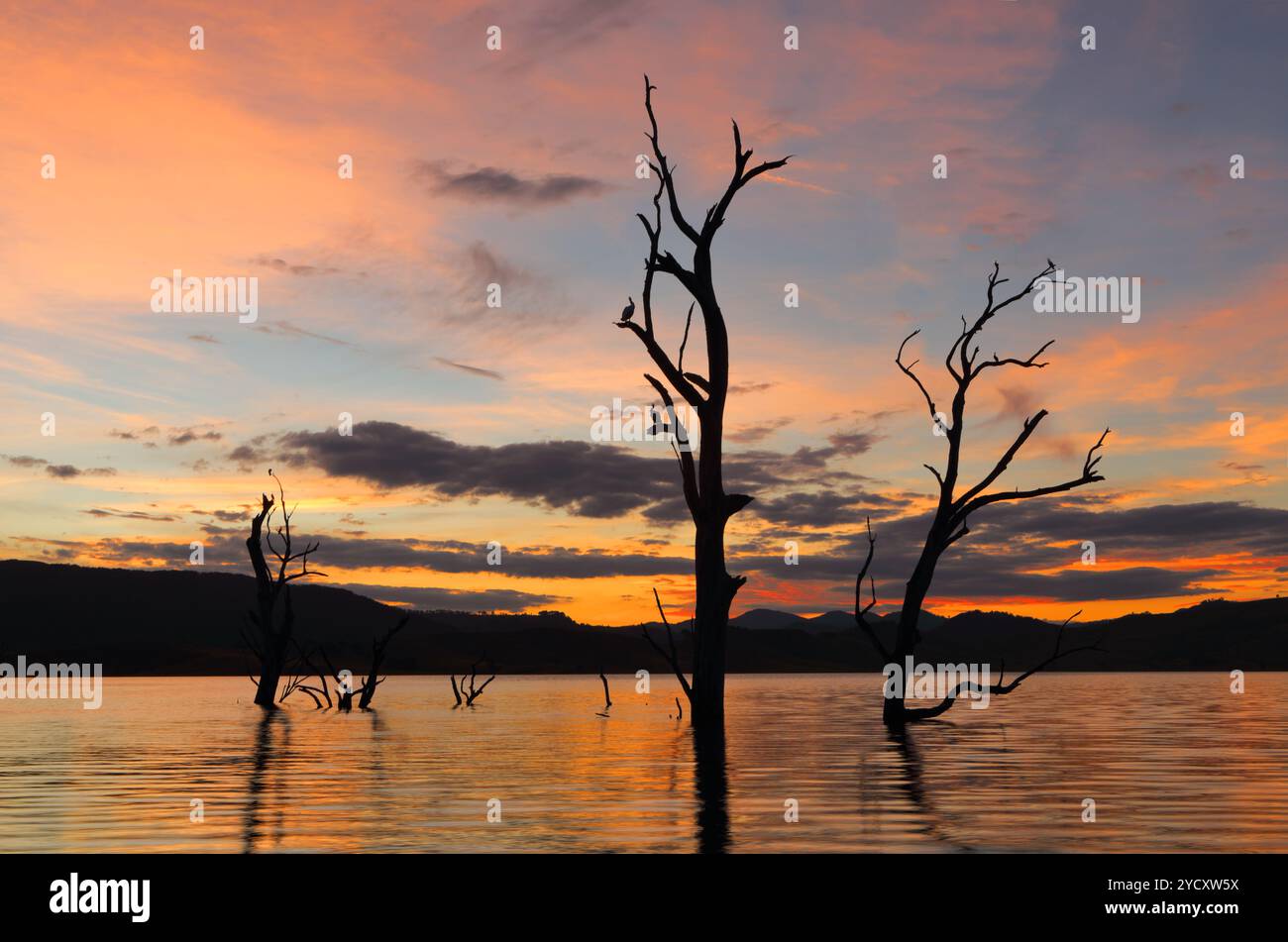 Outback sunset painting hi-res stock photography and images - Alamy