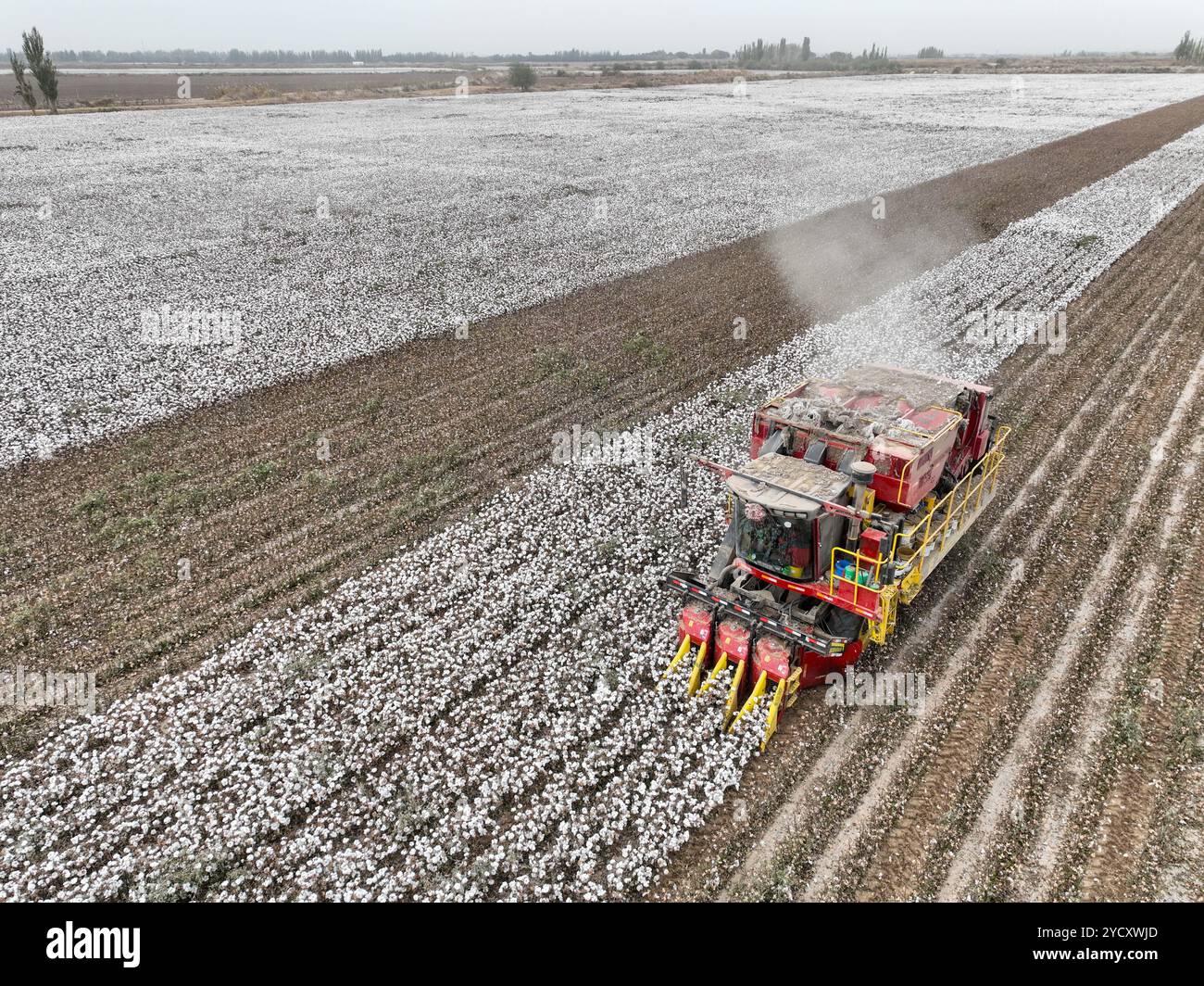 (241024) -- AKSU, Oct. 24, 2024 (Xinhua) -- A drone photo shows a ...