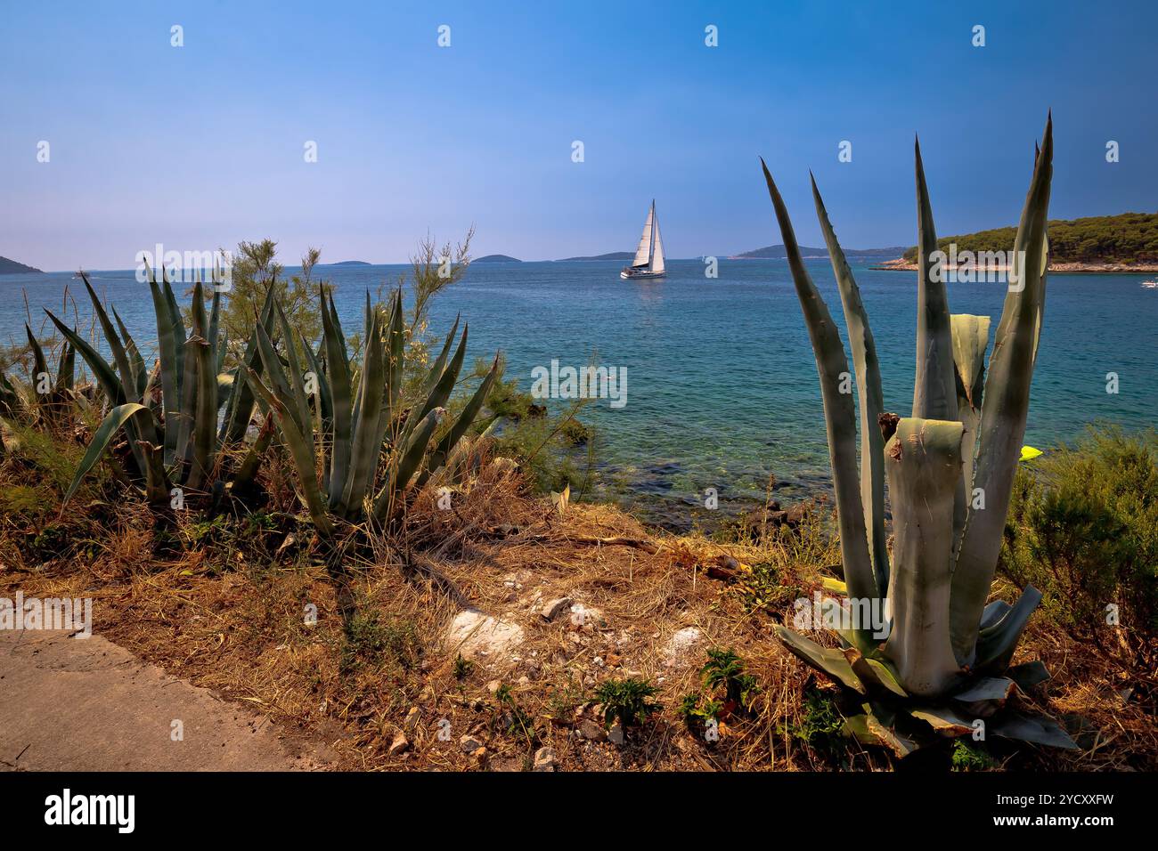 Turquoise beach prvic island hi-res stock photography and images - Alamy