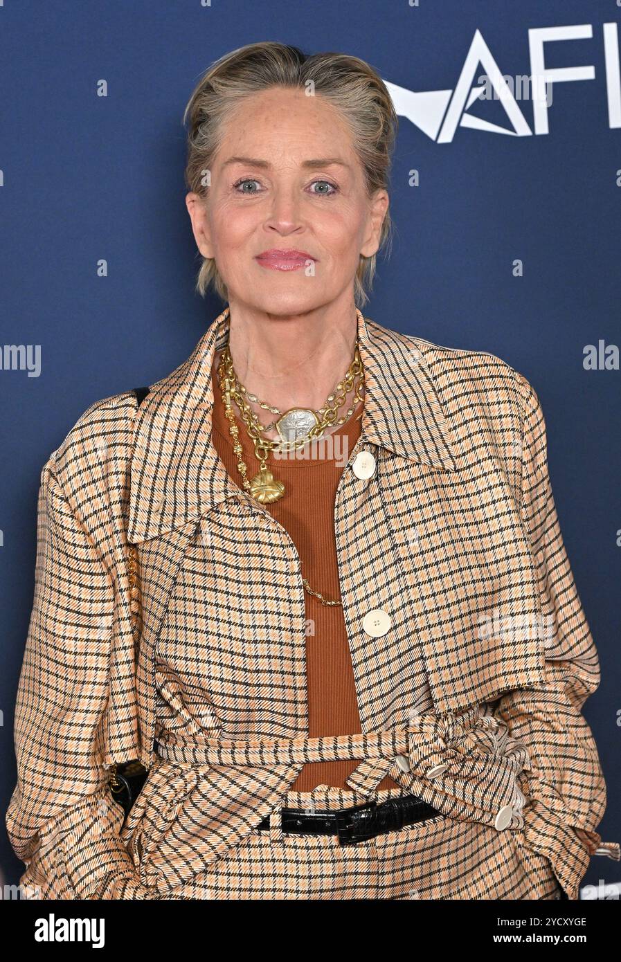 Hollywood, USA. 23rd Oct, 2024. Sharon Stone arriving to the premiere ...