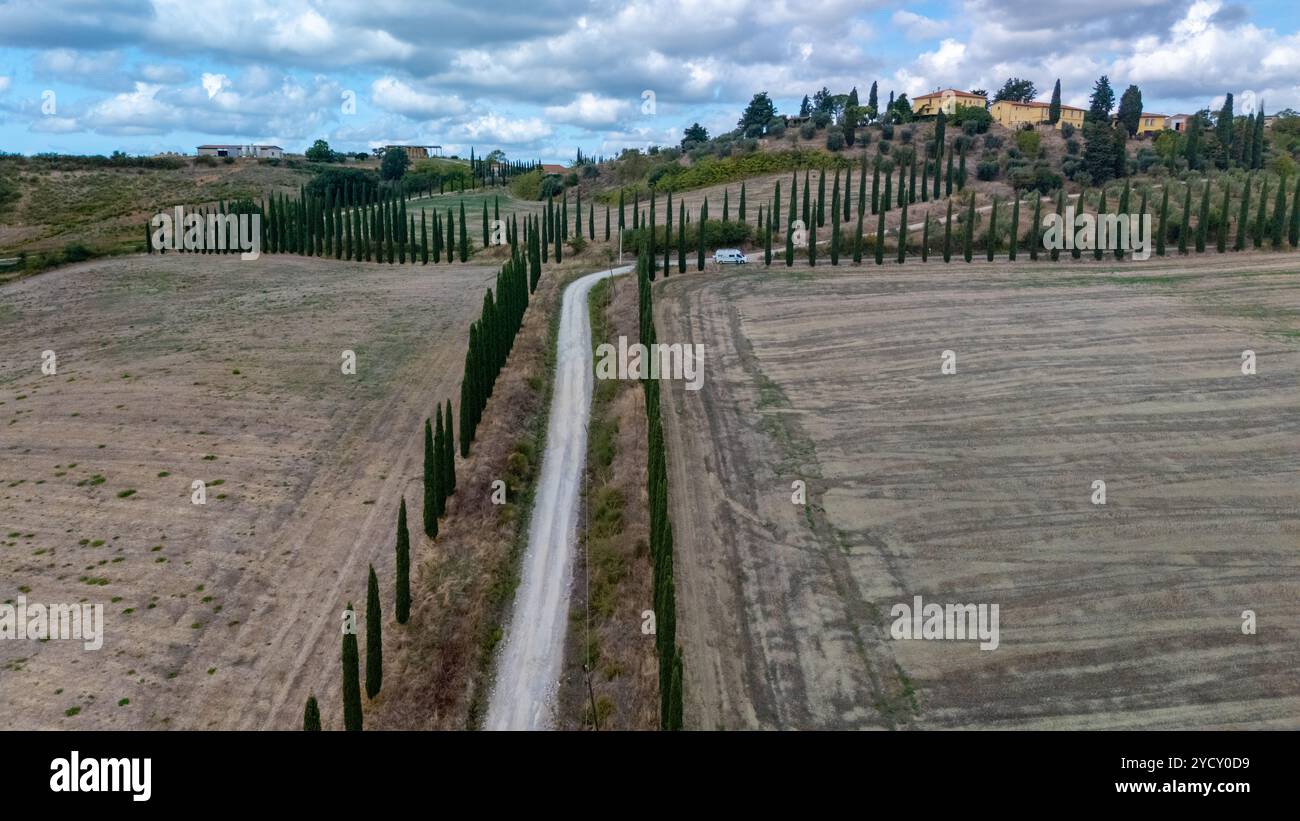 Rural pathway winds its way through towering cypress trees hi-res stock ...
