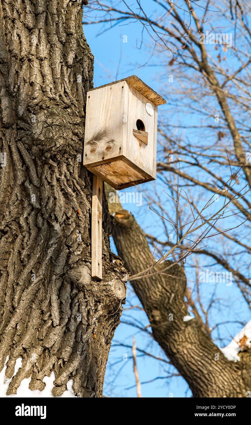 Birdhouse bird house tree hi-res stock photography and images - Alamy