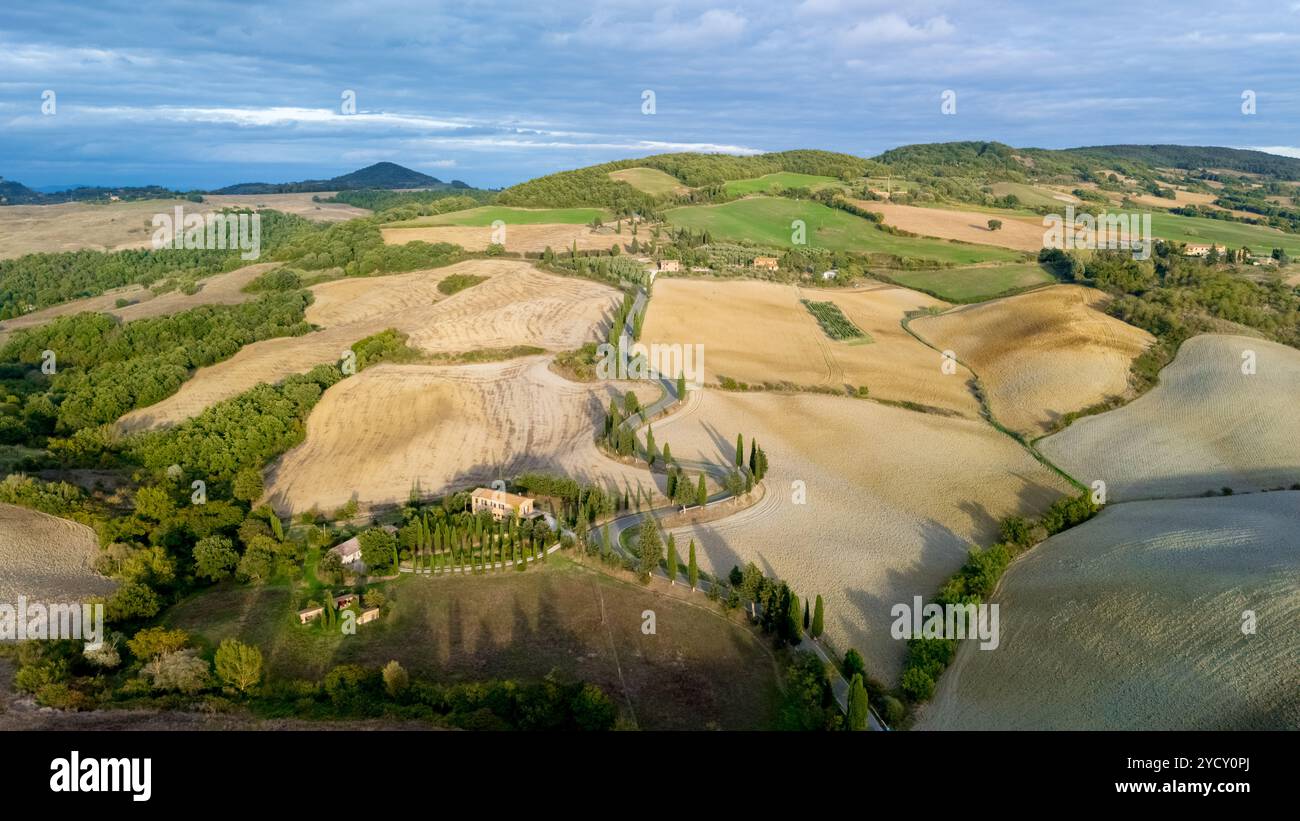 Golden fields stretch across the horizon, dotted with cypress trees ...