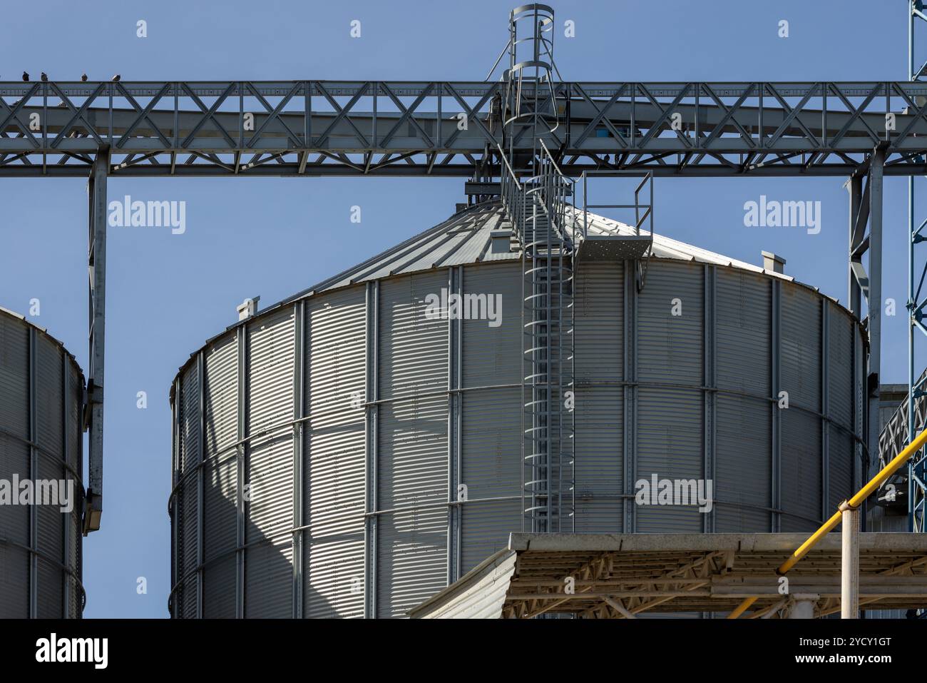 metal grain silos with elevator loading constructions Stock Photo - Alamy