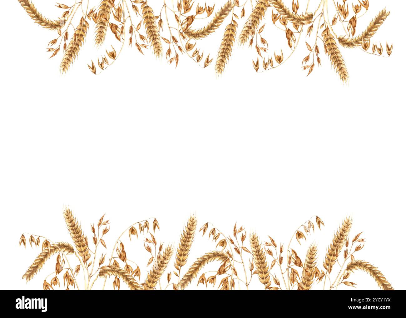 Horizontal banner, border, frame with oat branches and ears of wheat ...