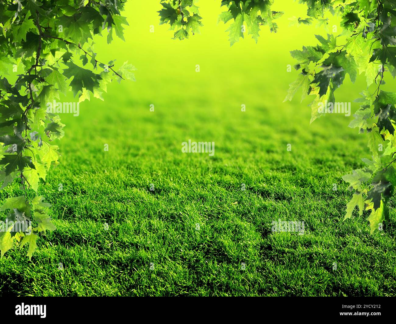 Lawn backdrop hi-res stock photography and images - Alamy