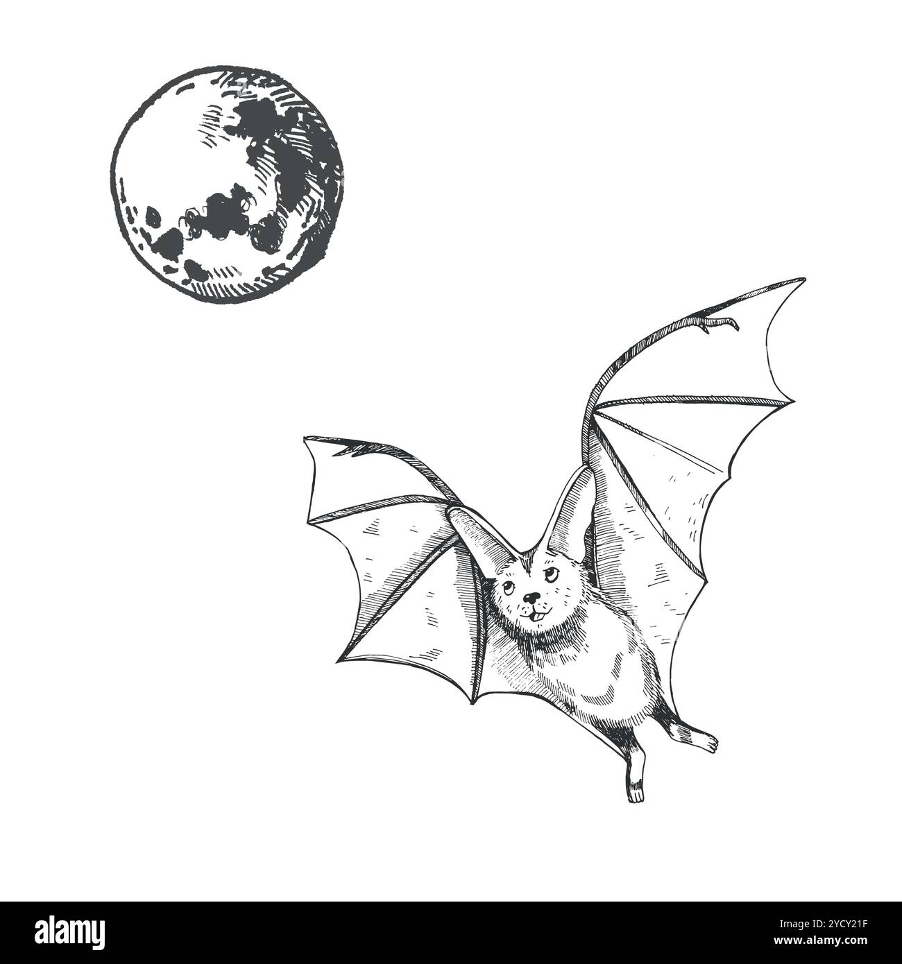 Bat and moon, bat flying under the full moon. All objects are hand ...