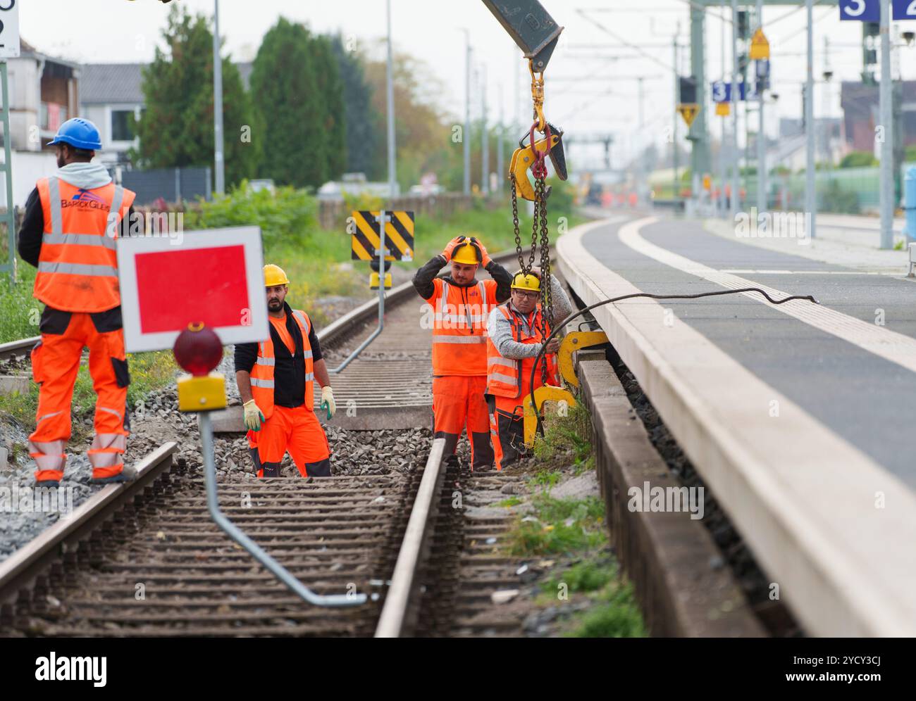 24 October 2024, Hesse, Gernsheim: Track work is being carried out on ...