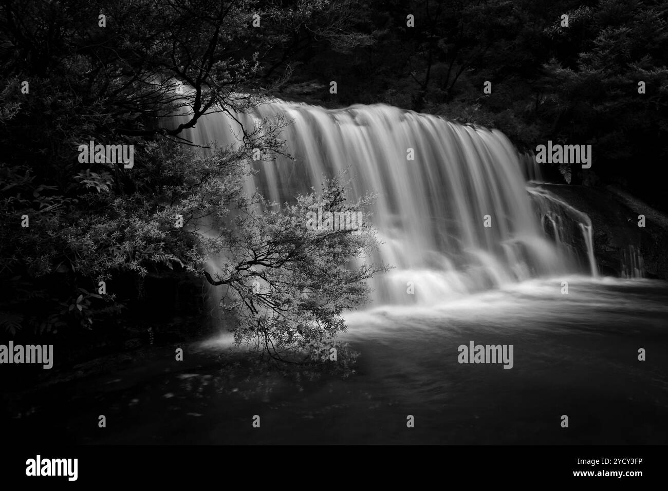 Beautiful waterfall in the Blue Mountains. This is Queens Cascade, part ...