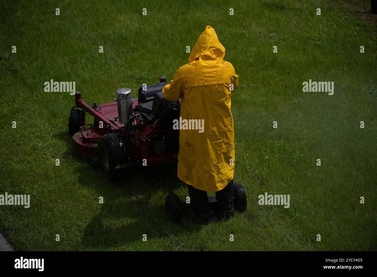 Mowing lawn. Cut grass. Before and after. Lawn equipment. Grass ...