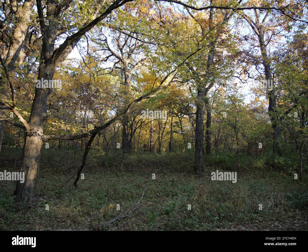 Cedar Lake Public Park in Olathe Kansas on a Warm Fall Evening Stock ...