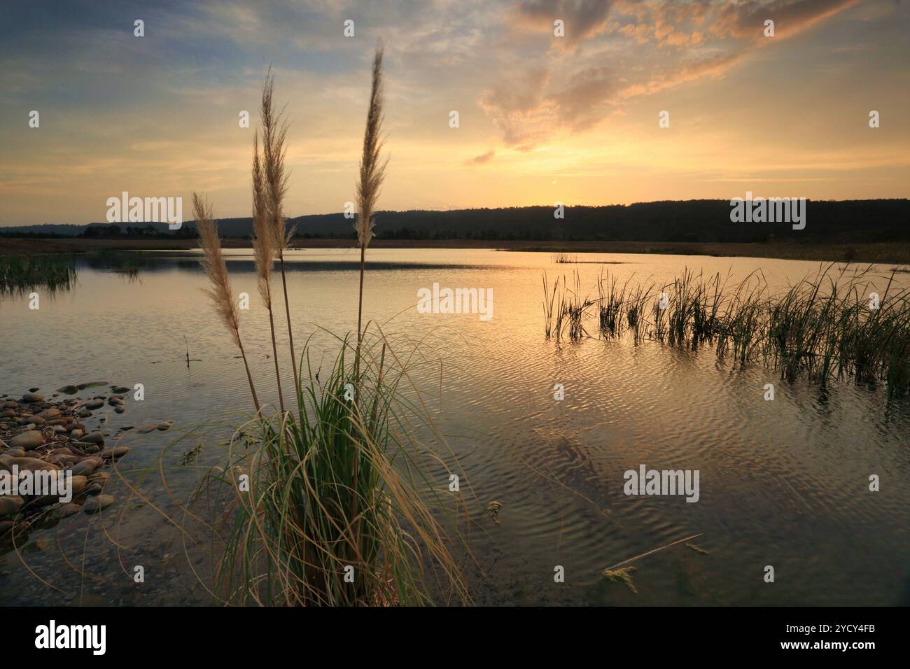 Painting of lakes hi-res stock photography and images - Alamy