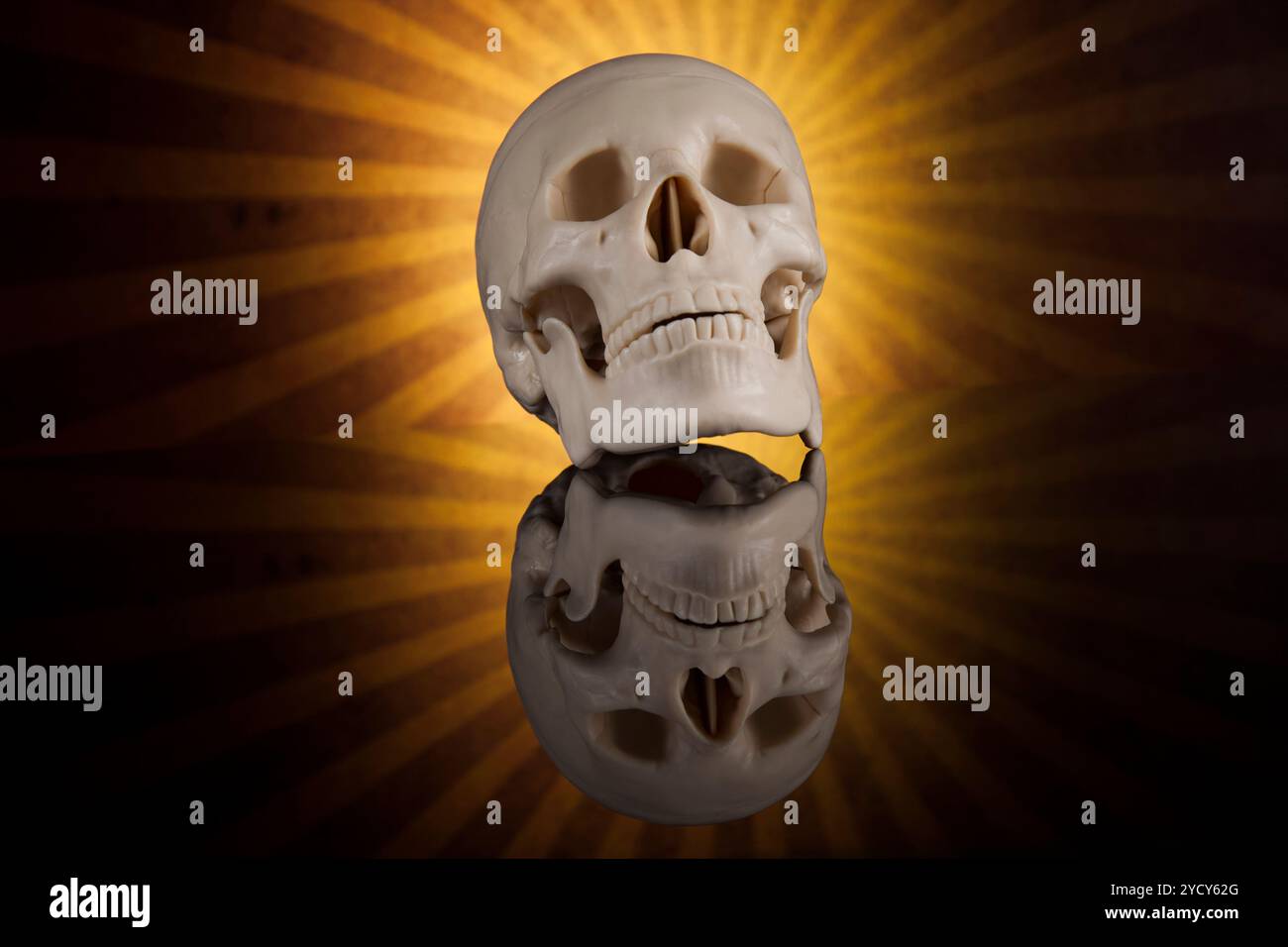 Human skull, black mirror background Stock Photo - Alamy