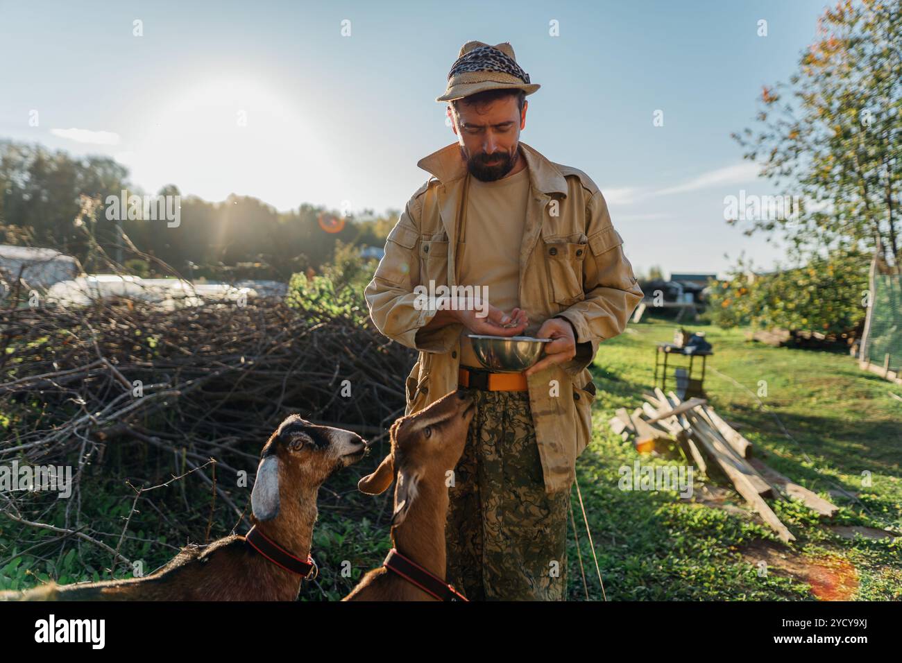 Goats feeding from bowl hi-res stock photography and images - Alamy