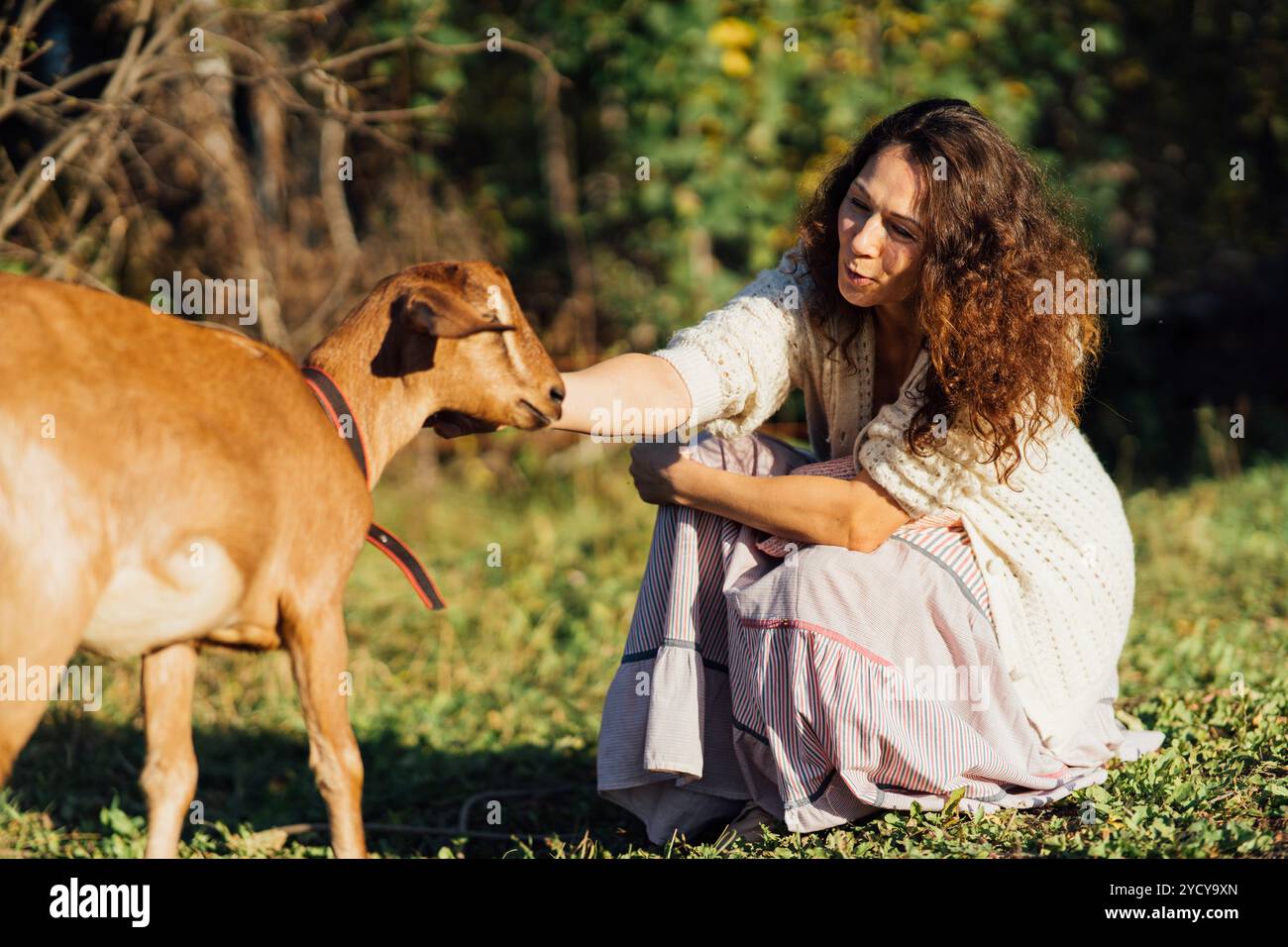 Pleasant curly woman bonding with goats on a farm Stock Photo - Alamy