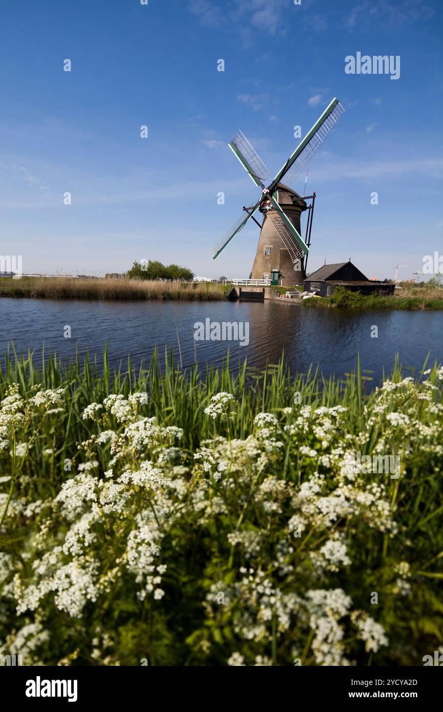 Old windmill grass field hi-res stock photography and images - Alamy
