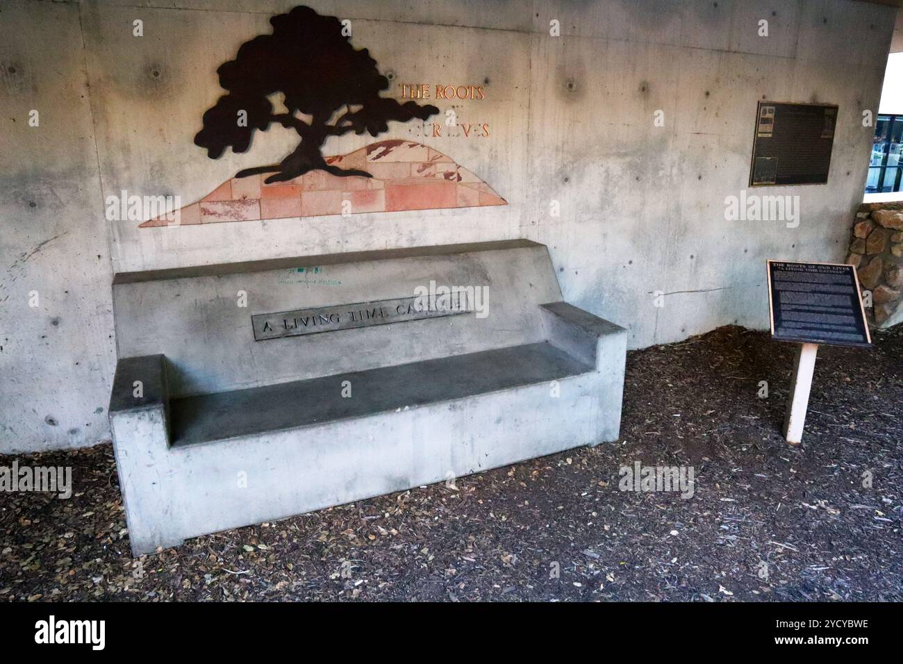 Thousand Oaks (Ventura County), California: The Roots of our Lives ...