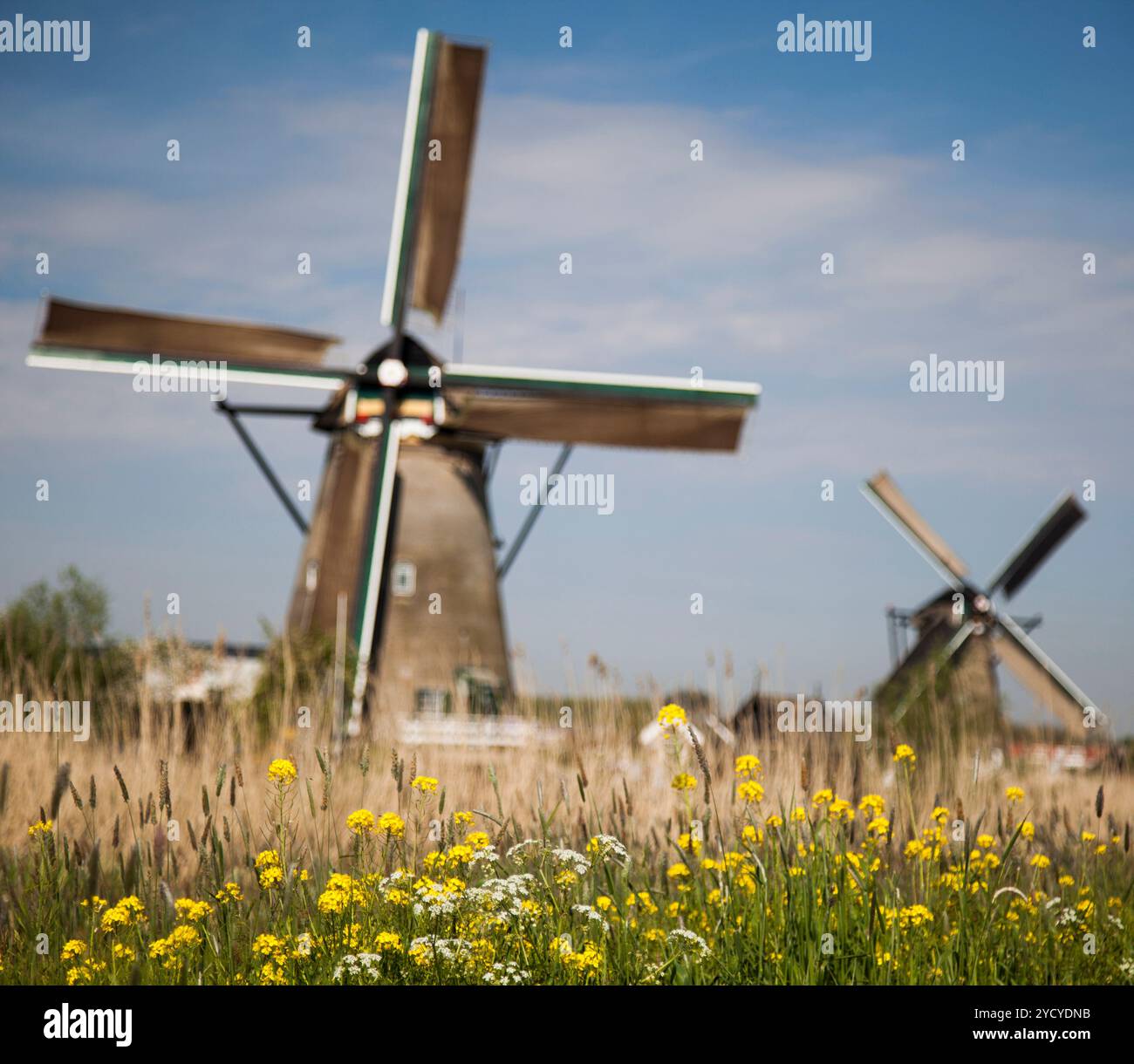 Traditional old windmills in Netherlands Stock Photo - Alamy