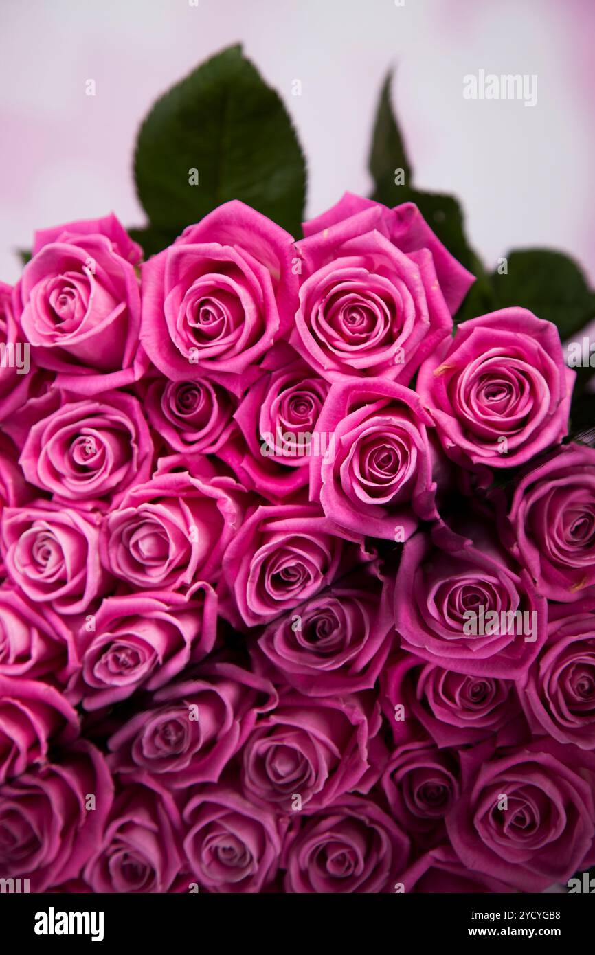 Natural background of fresh roses Stock Photo - Alamy