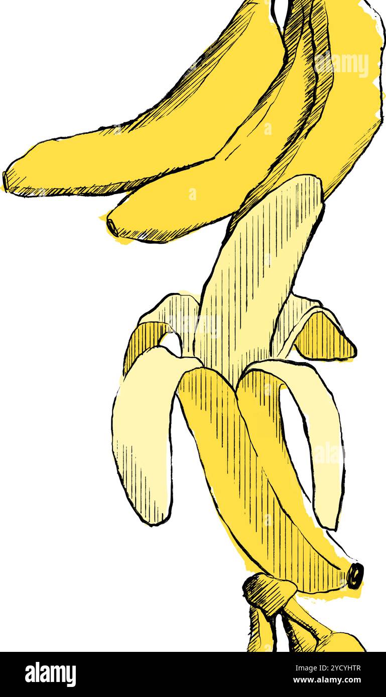 Vertical plant in forest Stock Vector Images - Alamy