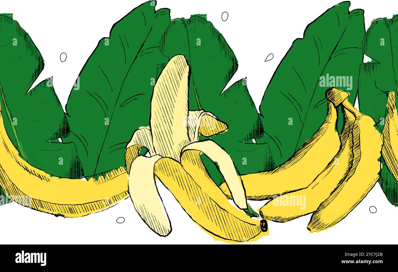 Graphic banana yellow fruit seamless border with leaves. Hand drawn ...