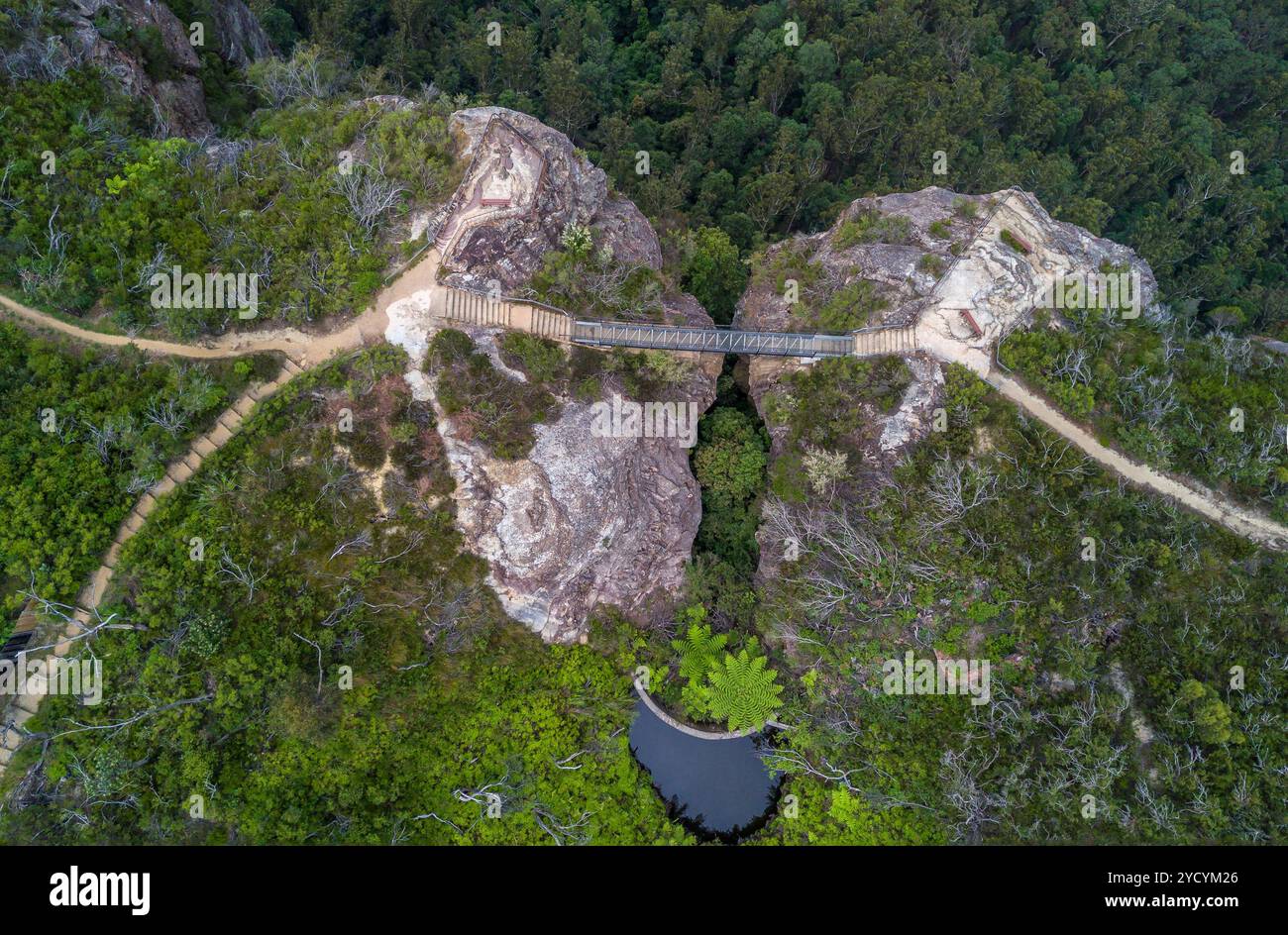 Bridge between two cliffs Grand Clifftop Walk Blue mountains Stock ...