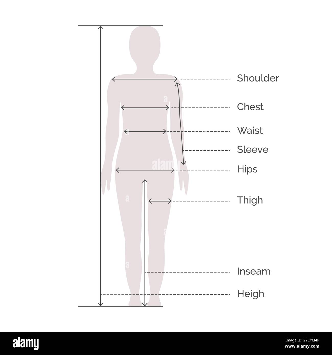 Gender Neutral Body Measurement Proportions for Clothing Design and ...