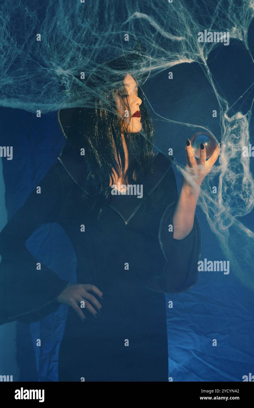 Spider webs create hi-res stock photography and images - Alamy