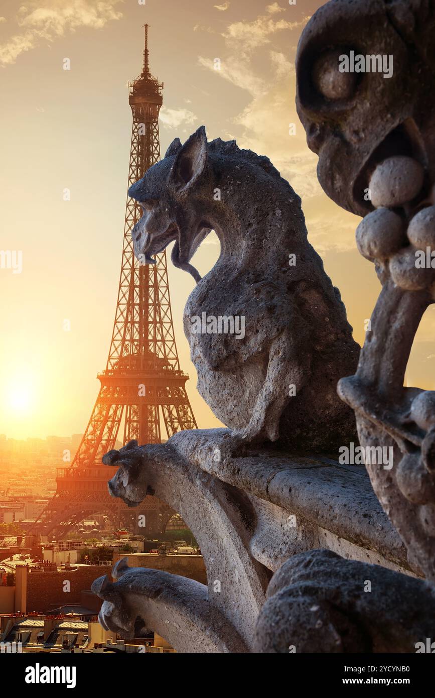 Chimeras cathedral france hi-res stock photography and images - Alamy